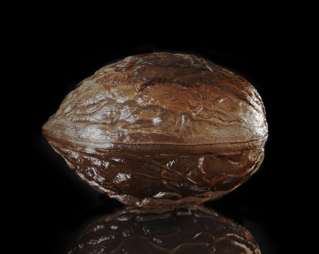 Walnut | Cal Breed